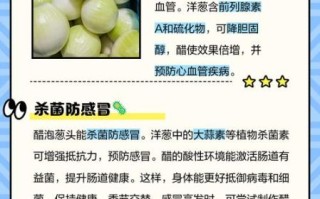 葱头的功效与作用_葱头的害处有哪些