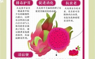 火龙果怎么吃_冬天吃火龙果的正确方法