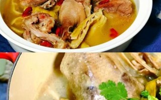 鸭煲的做法大全家常做法_鸭煲怎么做好吃