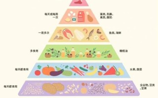 食物金字塔怎么吃_一日三餐如何搭配