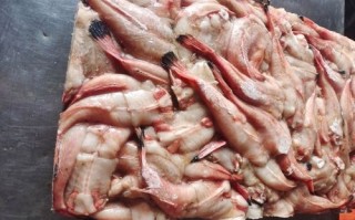 鮟鱇鱼舞是什么_鮟鱇鱼舞怎么跳