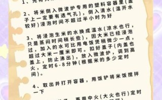 微波炉可以蒸米饭吗_微波炉怎么蒸米饭