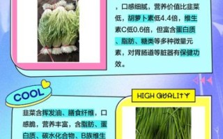 韭黄和韭菜的区别_哪个更有营养