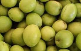 青枣图片大全_青枣品种怎么区分