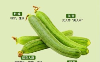 丝瓜有什么营养_丝瓜的营养价值与功效