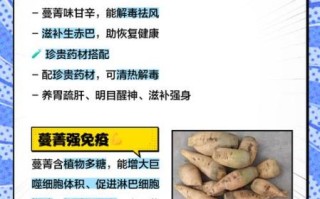 蔓菁菜怎么做好吃_蔓菁菜的营养价值