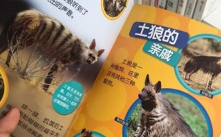 环球少年地理怎么样_适合几岁孩子阅读