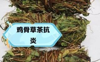 鸡骨草的功效与作用_鸡骨草能长期喝吗