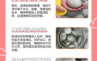 鸭蛋怎么做好吃又营养_鸭蛋营养价值高吗