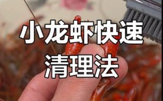家常小龙虾最简单做法_小龙虾怎么清洗最干净