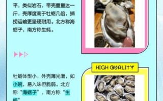 生蚝和牡蛎有什么区别_生蚝和牡蛎哪个更营养