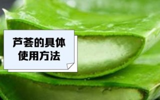 芦荟涂脸的正确方法_芦荟直接涂脸会不会过敏