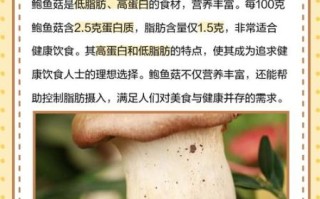 鲍鱼菇的功效与作用_鲍鱼菇怎么吃最好