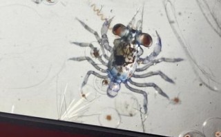 地理摄影大赛怎么报名_参赛技巧有哪些