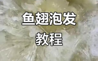泡发鱼翅的正确方法_鱼翅怎么泡发才无腥味