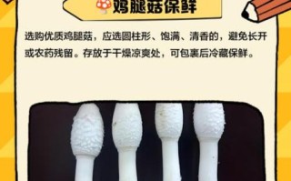 鸡腿菇热量是多少_减肥能吃吗