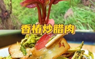 香椿芽怎么吃好_香椿芽的吃法大全