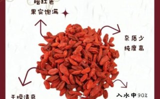 枸杞怎么吃最营养_枸杞一天吃多少粒最好
