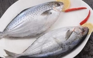 雪花鲳鱼多少钱一斤_雪花鲳鱼价格行情