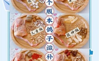乳鸽怎么炖最补气血_乳鸽汤的功效与禁忌