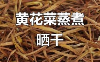 黄花菜怎么做好吃_干黄花菜泡发技巧