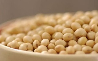 霉千张怎么做_霉千张的做法步骤