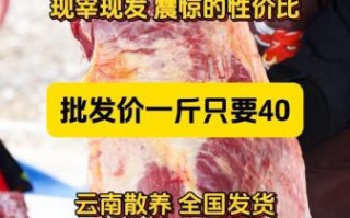 顶级牛肉多少钱一斤_顶级牛肉为什么这么贵