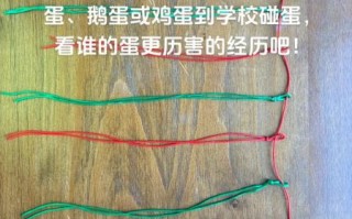 护蛋袋怎么做_幼儿园手工护蛋袋教程