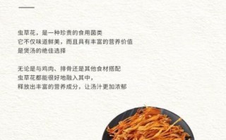 虫草花有什么功效与作用_虫草花怎么吃效果最好