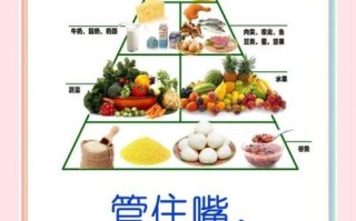 肾病食疗菜谱大全_慢性肾炎吃什么好