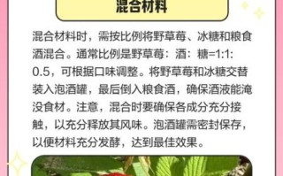 草莓酒怎么做_草莓酒发酵时间要多久