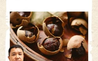 龙眼肉蒸40小时的功效_蒸龙眼肉真的会上火吗