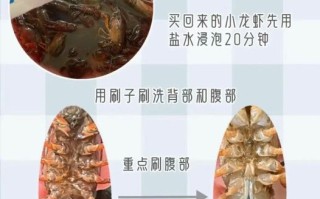 小龙虾怎么清洗才干净_小龙虾去虾线技巧