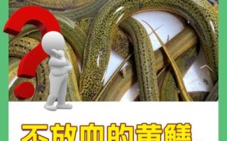 黄鳝不吃东西能活多久_黄鳝多久不进食会死