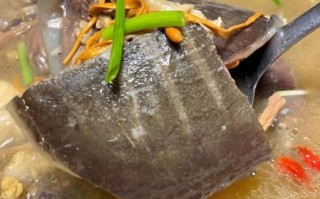 甲鱼汤哪些人不能喝_孕妇能吃甲鱼汤吗