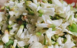 鸡蛋花怎么做好吃_鸡蛋花食用方法