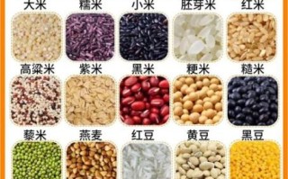 五谷杂粮有哪些_五谷杂粮是什么意思