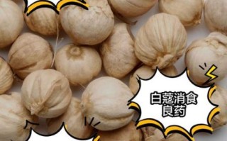 白蔻长什么样_白蔻图片真假辨别