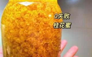 鲜桂花如何制作桂花酒_桂花酒做法步骤