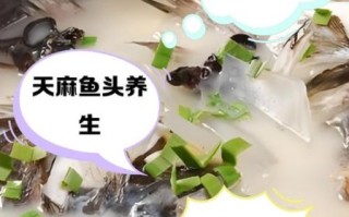 天麻鱼头汤怎么做_天麻鱼头汤的功效与禁忌