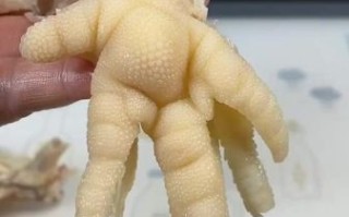 鸡爪怎么脱骨_鸡爪去骨最快的方法