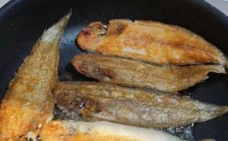 龙舌鱼是什么鱼_龙舌鱼怎么做好吃