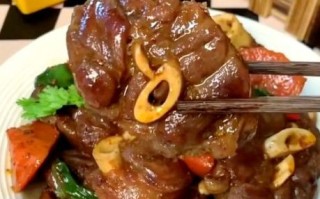 红烧羊腿肉怎么做_红烧羊腿肉的家常做法