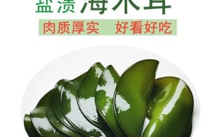 海木耳是什么东西_海木耳和黑木耳区别