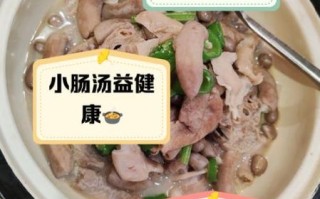 小肠汤的做法大全_小肠汤怎么炖才好吃