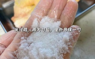 家常清蒸鸡肉怎么做_清蒸鸡肉蒸多久才嫩