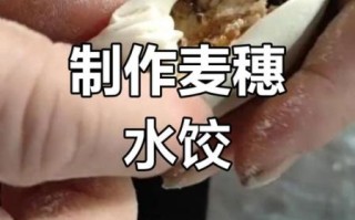 麦穗饺子怎么包_麦穗饺子包法视频教程
