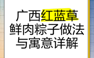 鲜肉粽子怎么包_鲜肉粽子做法