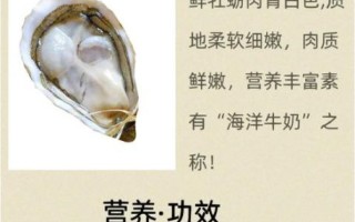 牡蛎拼音怎么拼_牡蛎的营养价值有哪些
