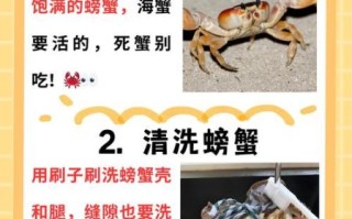 蒸螃蟹正确吃法_蒸螃蟹蒸多久才熟
